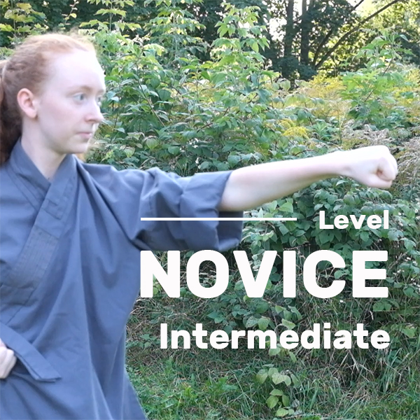 Shaolin fist Archives | Promartialarts